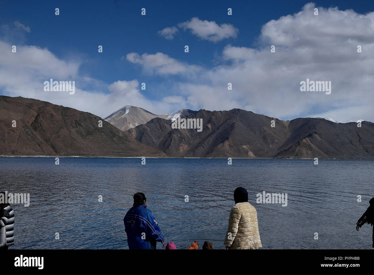Birds of paradise planet earth hi-res stock photography and images - Alamy