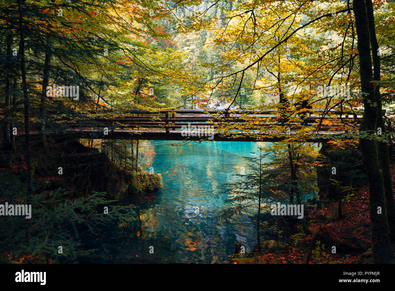 Autumn time at romantic forest lake Blausee, one of the best known ...