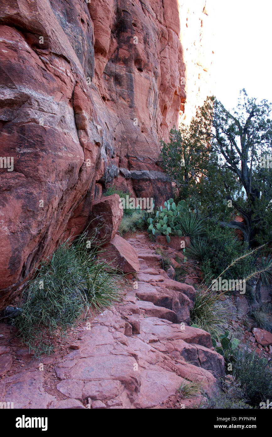 Hiking the Cathedral Rock Trail in Sedona, Arizona, USA Stock Photo - Alamy