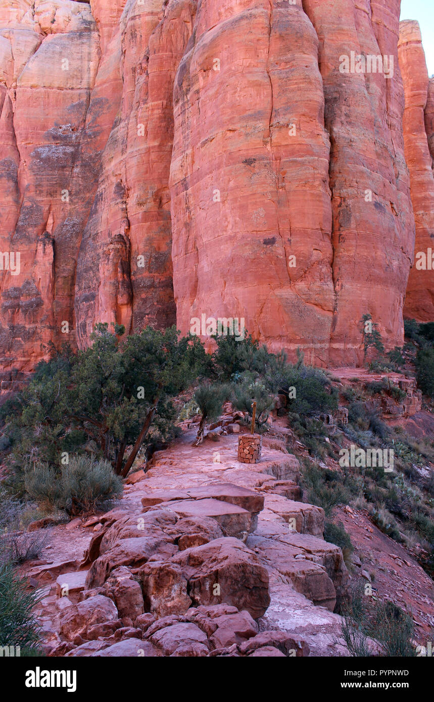 A view of the trail at the summit of Cathedral Rock Trail, 4,967 feet ...