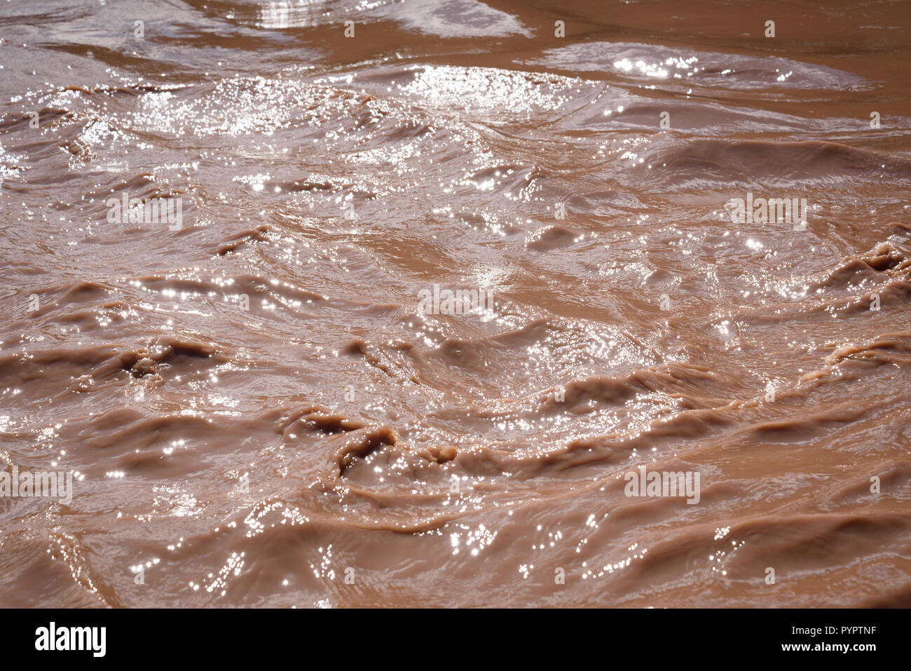 Muddy water, Colorado River. Rafting the Colorado River, Grand Canyon ...