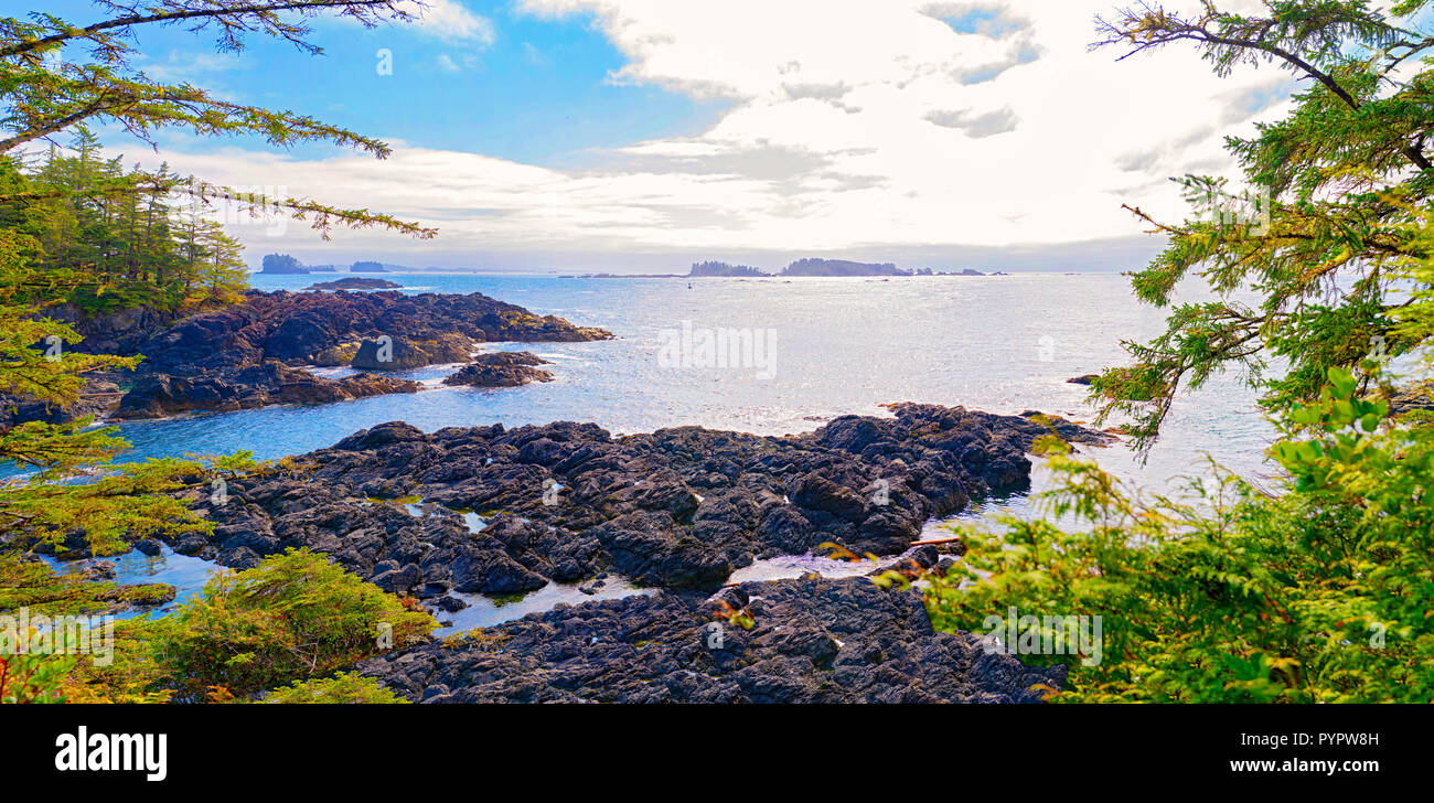 Panoramic view of the shoreline at wild pacific trail in Ucluelet ...