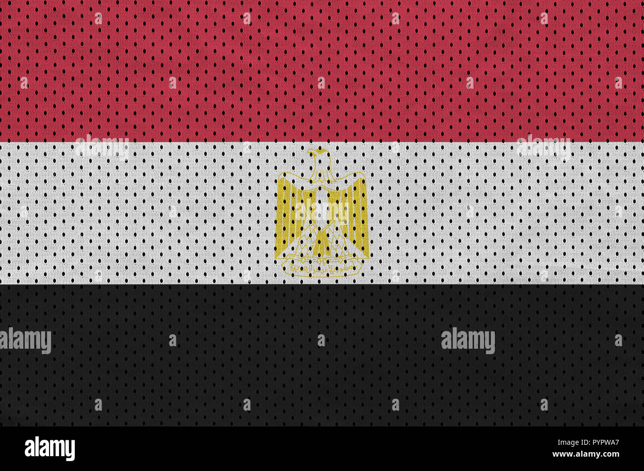 Egypt flag printed on a polyester nylon sportswear mesh fabric with ...