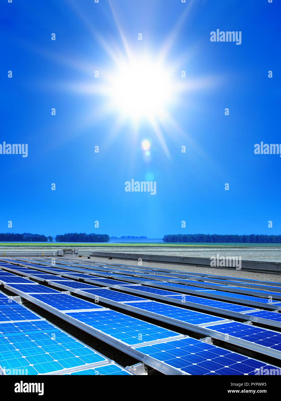 solar cell array in the field, renewable energy Stock Photo - Alamy