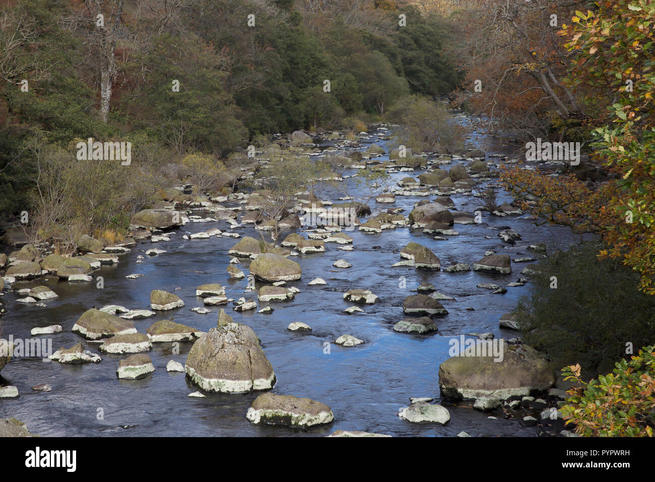 The River Wye in Rhayader,Powys,Wales Stock Photo - Alamy
