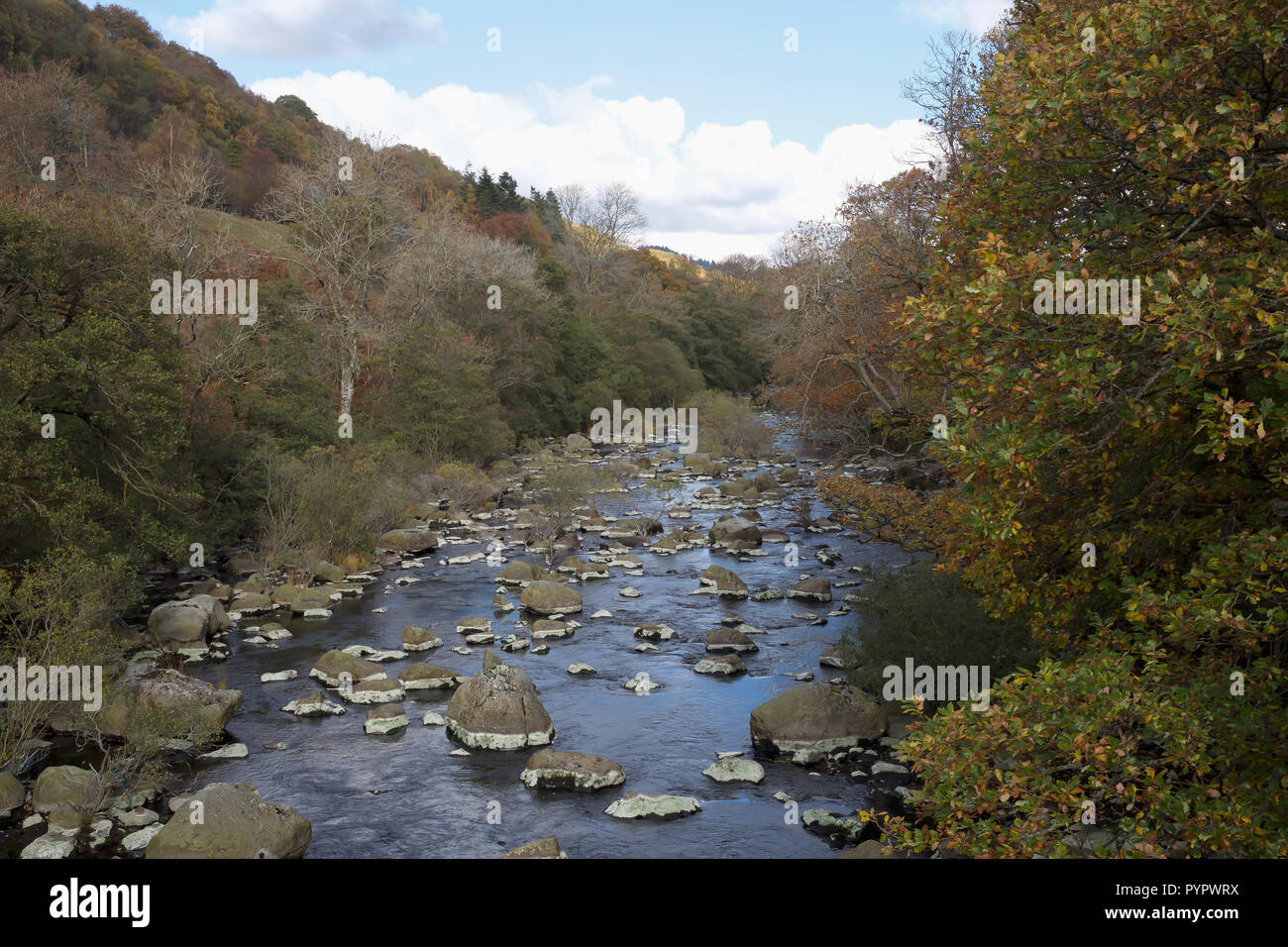 The River Wye in Rhayader,Powys,Wales Stock Photo - Alamy