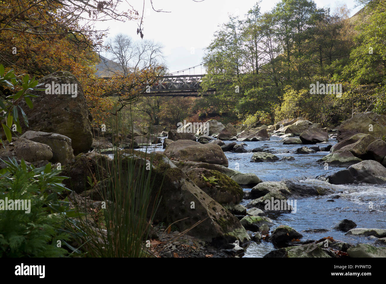 The River Wye in Rhayader,Powys,Wales Stock Photo - Alamy