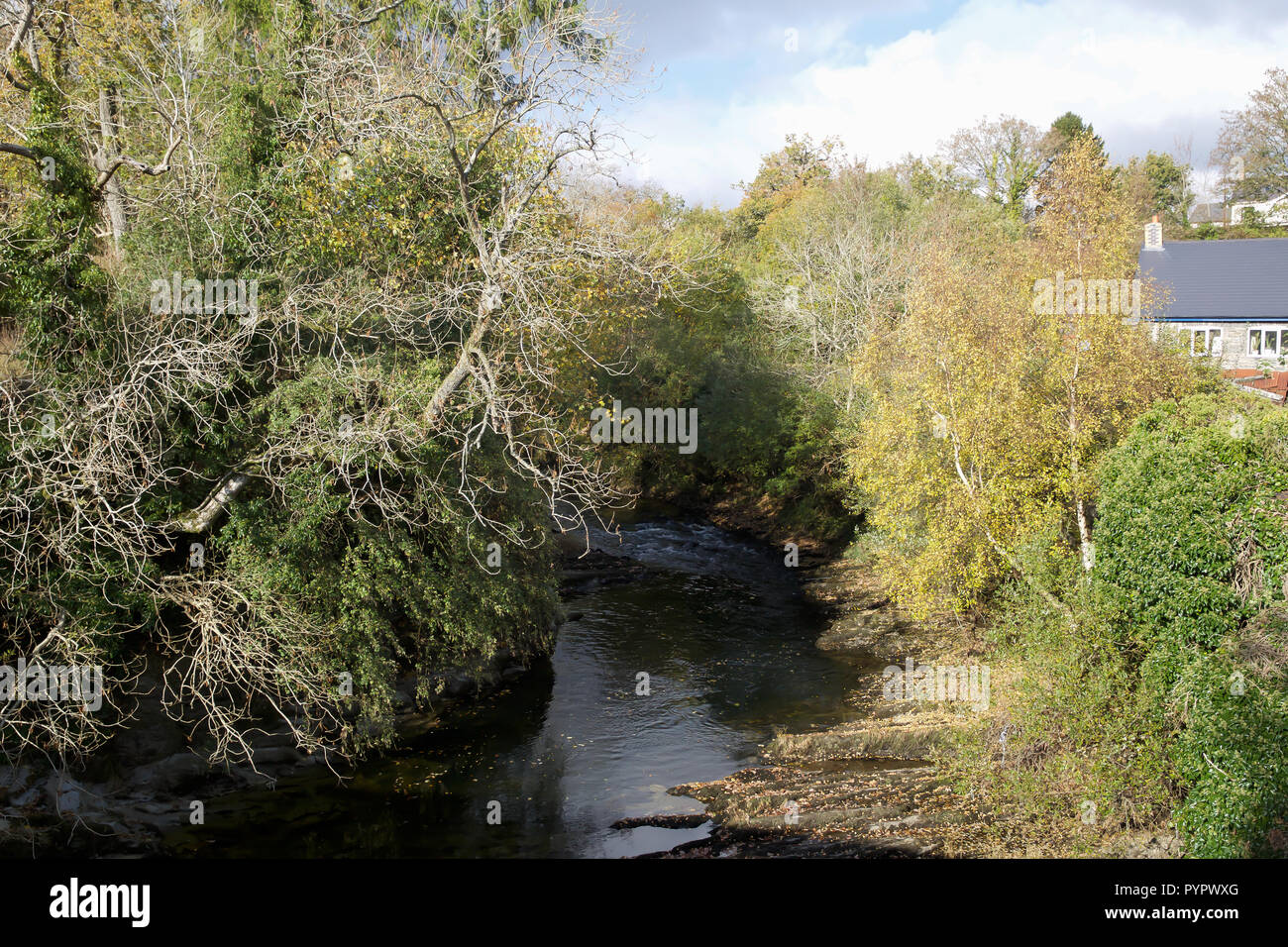 The River Wye in Rhayader,Powys,Wales Stock Photo - Alamy