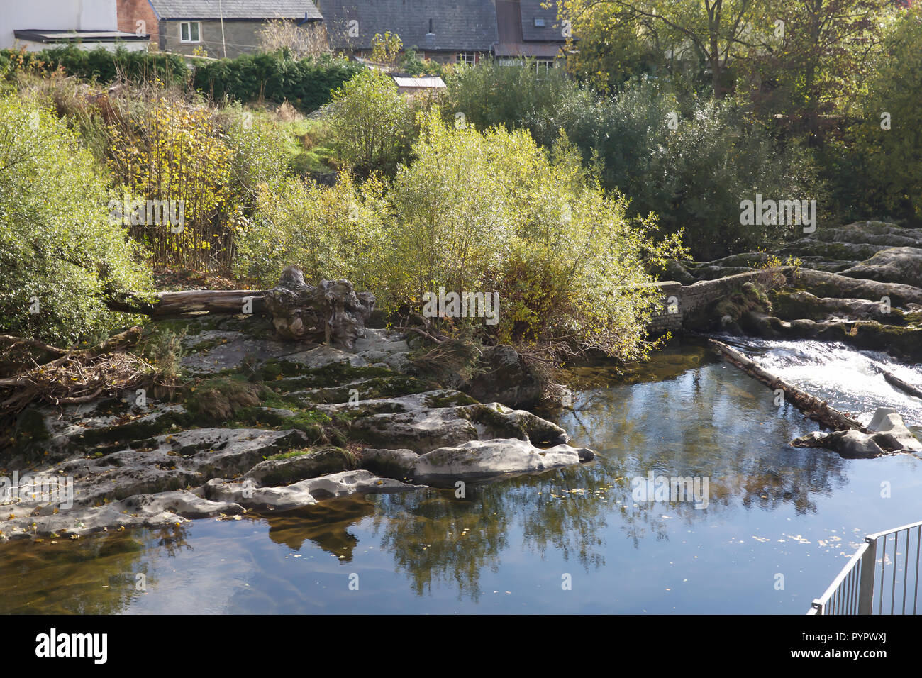 The River Wye in Rhayader,Powys,Wales Stock Photo - Alamy