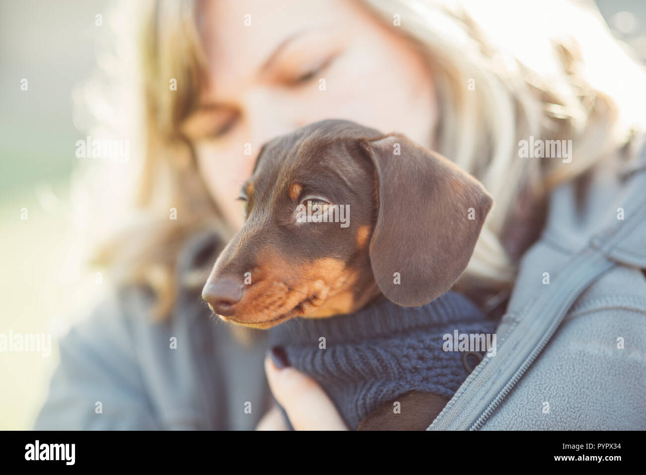 Lady holding dog hi-res stock photography and images - Alamy
