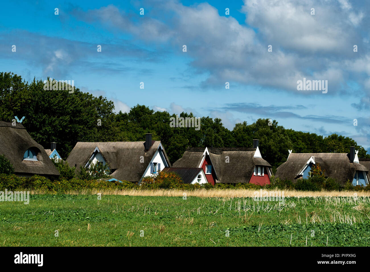 Baltic island hi-res stock photography and images - Alamy