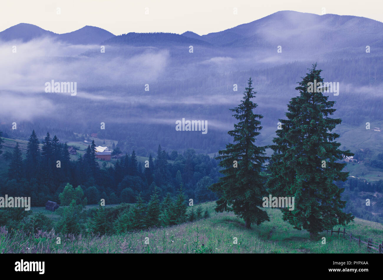 Amazinf view hi-res stock photography and images - Alamy