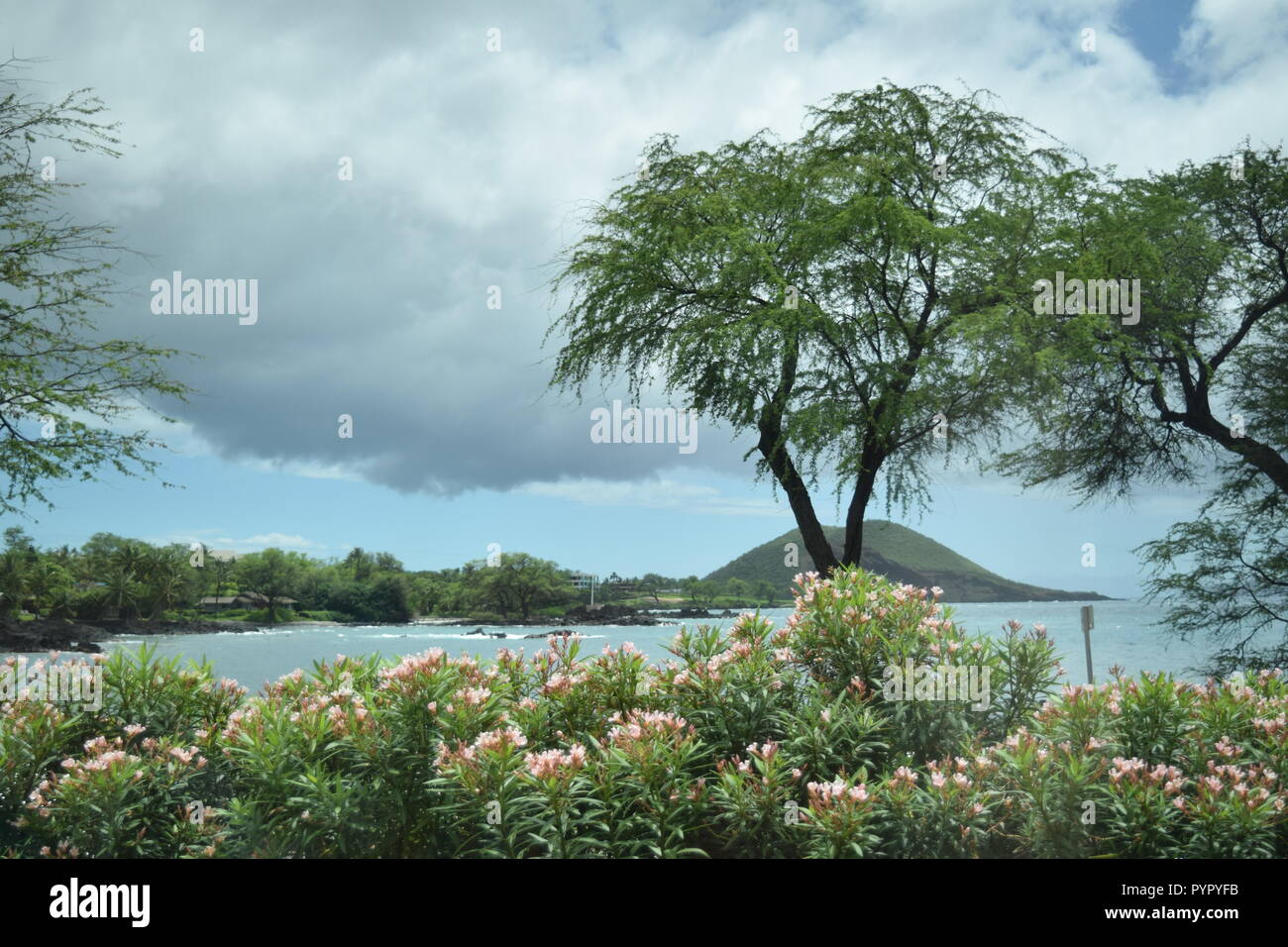 Hawaii maui spring hi-res stock photography and images - Alamy