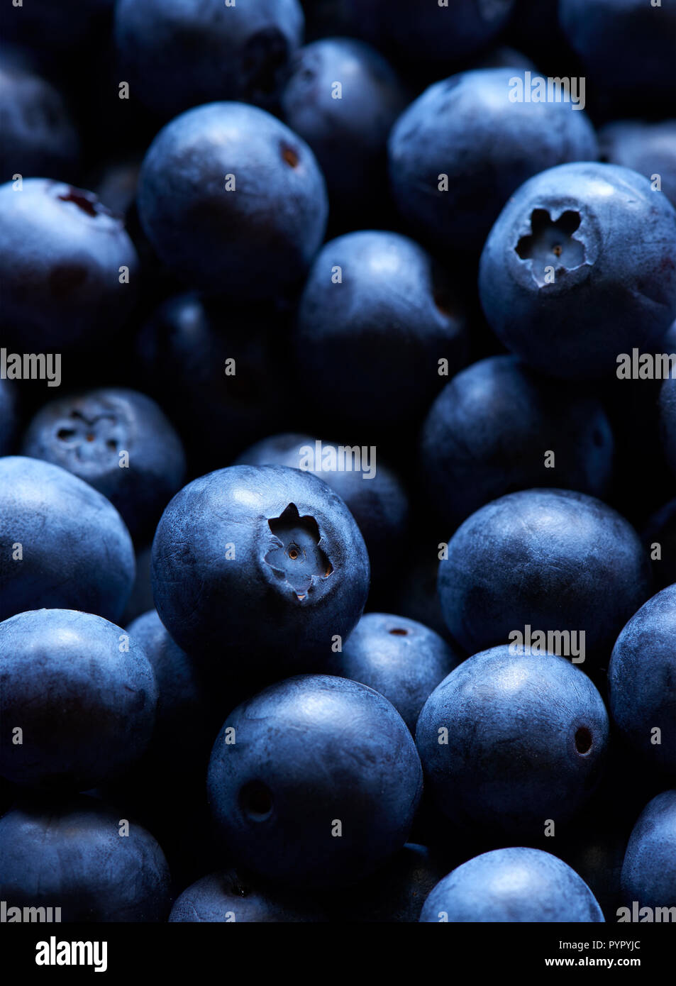 Vibrant blueberries photographed close up Stock Photo - Alamy