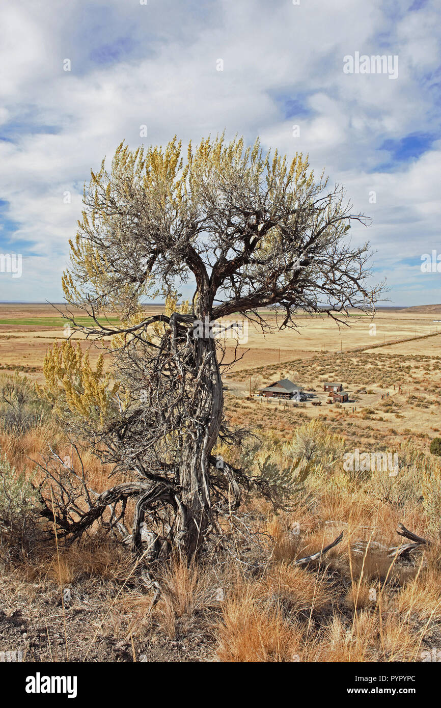 Burns oregon hi-res stock photography and images - Alamy