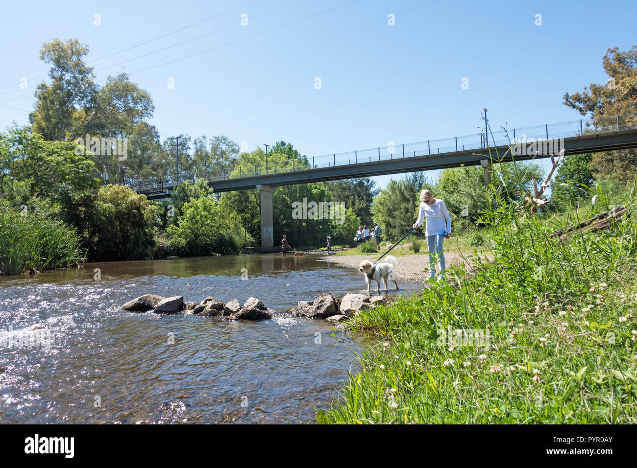 The Peel River flowing beneath a pedestrian bridge,Tamworth Australia ...