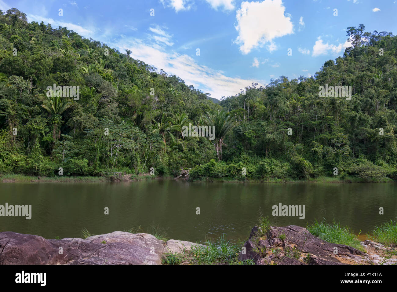 Macal River Starting with Maya Mountains at Belize Stock Photo - Alamy