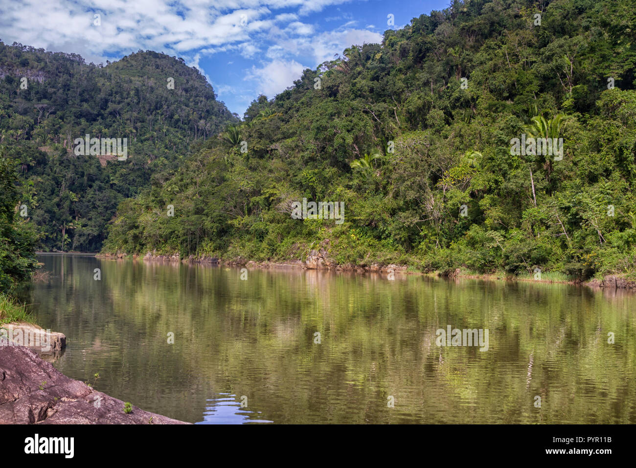 Tropical Jungles Surrounding majestical Macal River, Cayo District ...