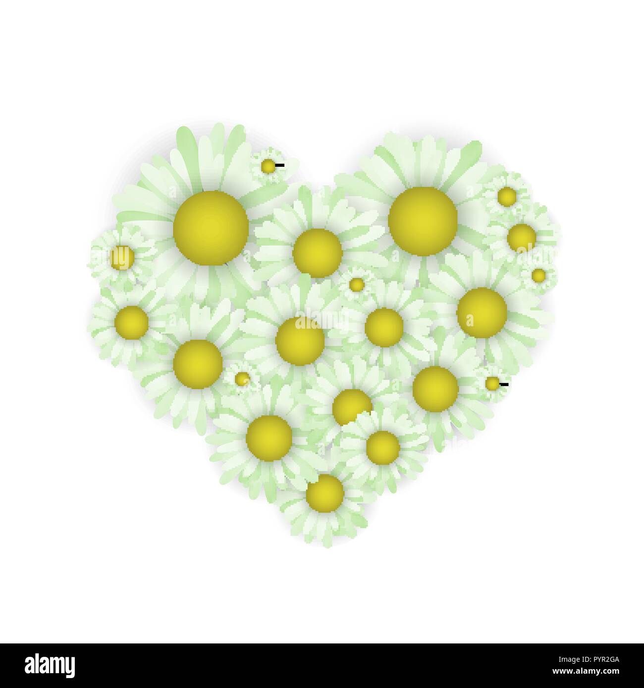 White yellow daisies green background Stock Vector Images - Alamy