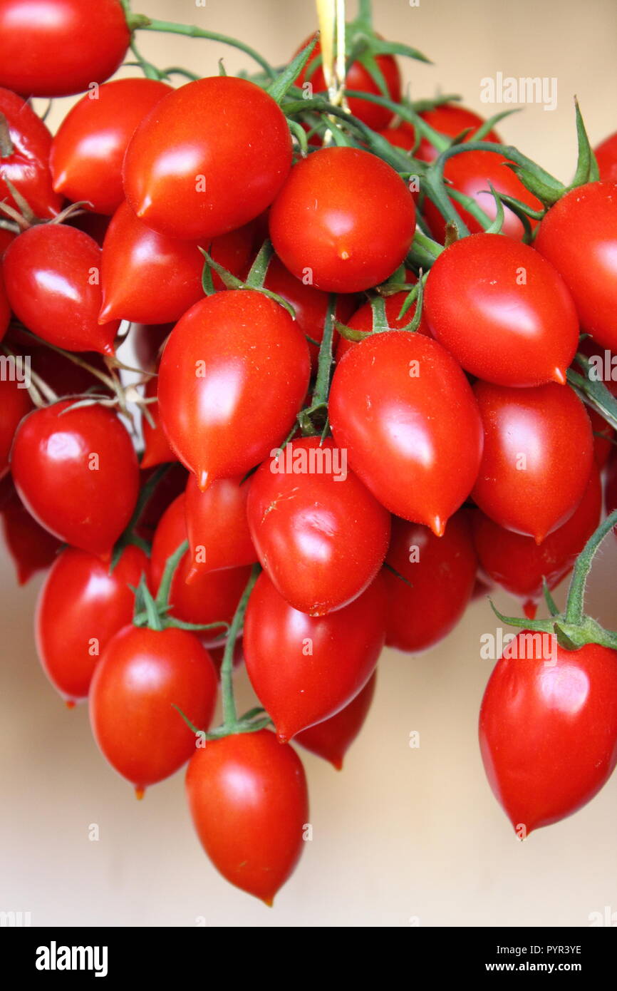 Tomatoes for sale at the market stall hi-res stock photography and ...