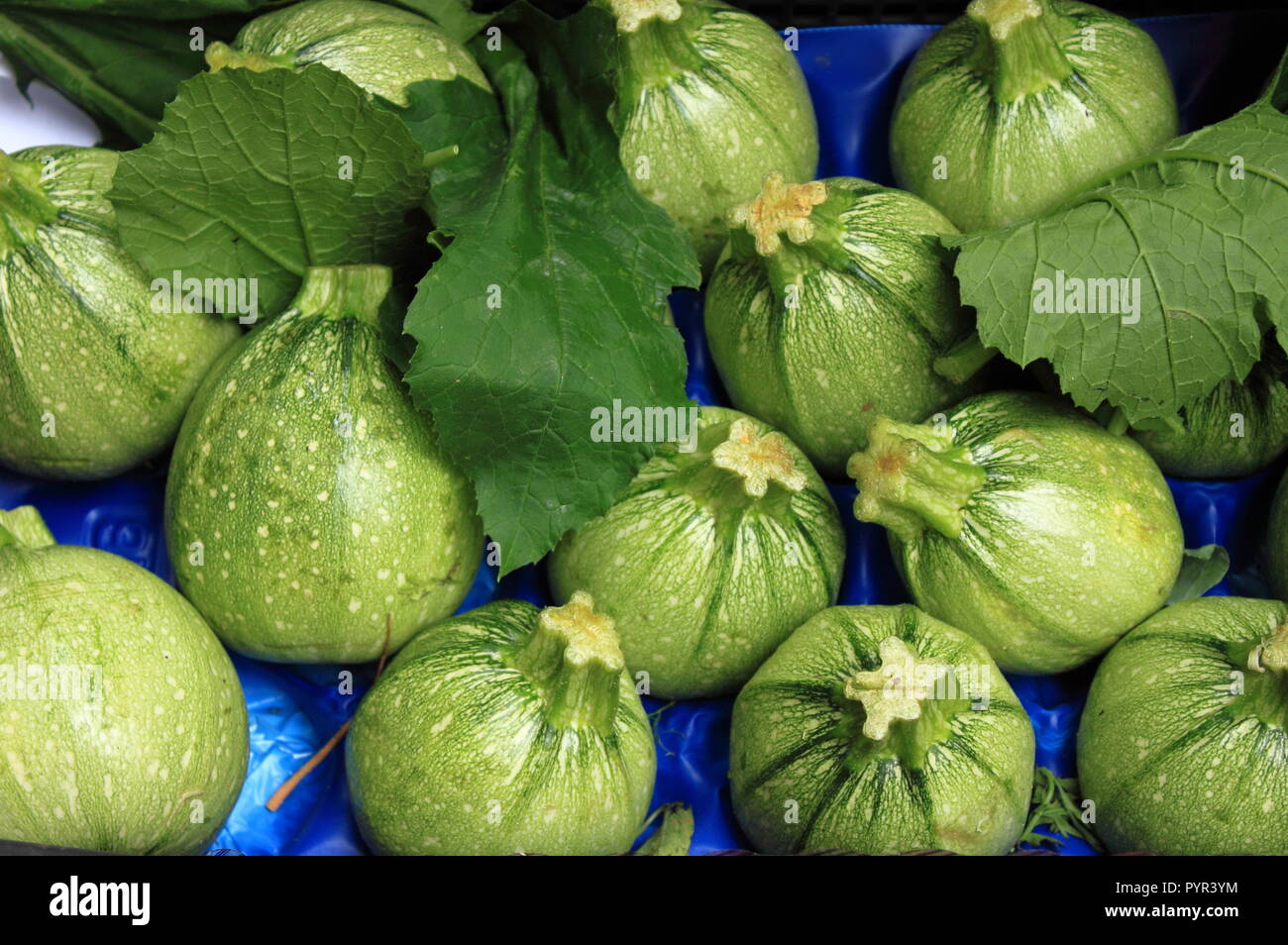 Fresh summer squash in a greengrocer shop Stock Photo - Alamy