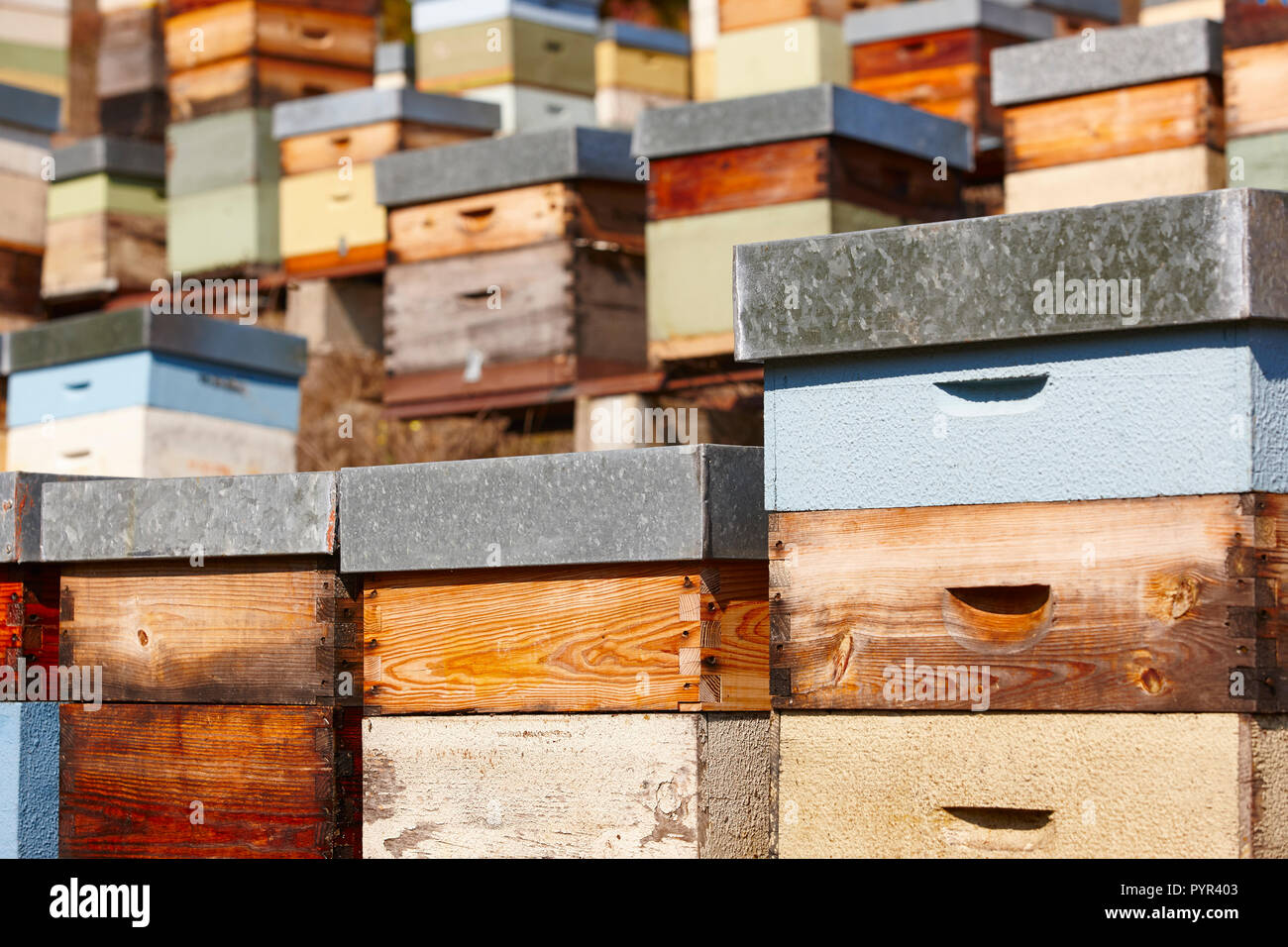 Traditional Beehives Stock Photos & Traditional Beehives Stock Images ...