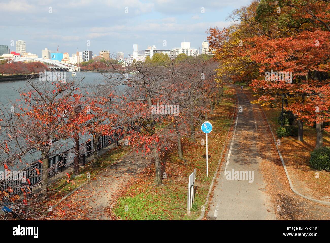 Osaka autumn park - O River sakura trees with red foliage Stock Photo ...