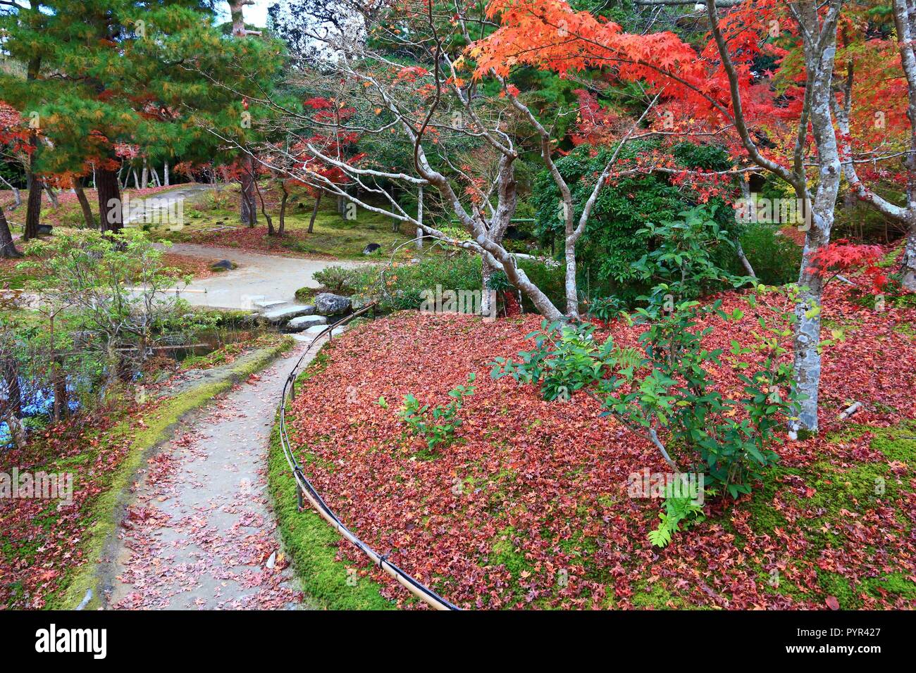 Traditional Japanese garden in autumn - Isuien Garden of Nara, Japan ...