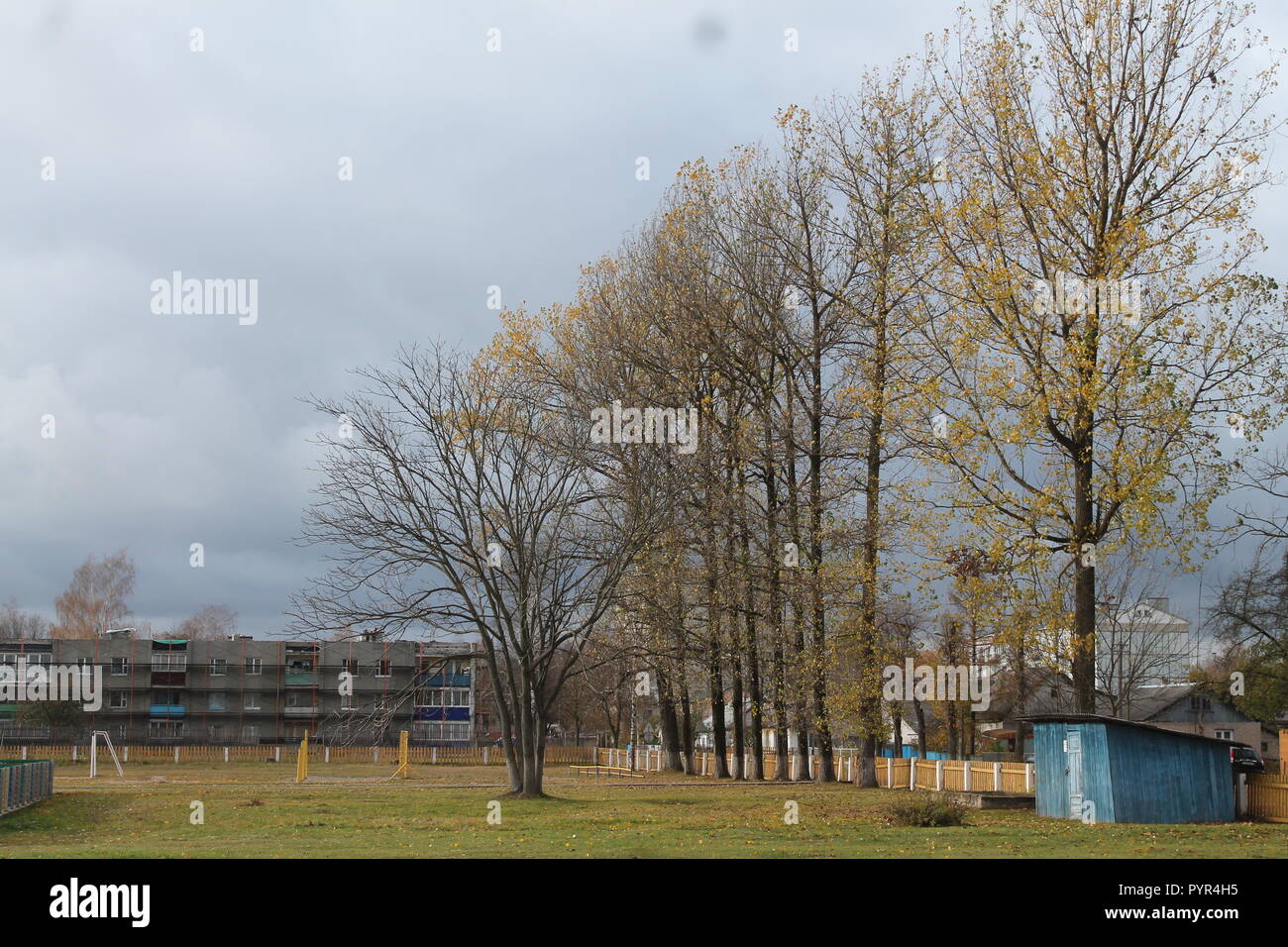panorama of school stadium with popplar alley before rain in autumn day ...