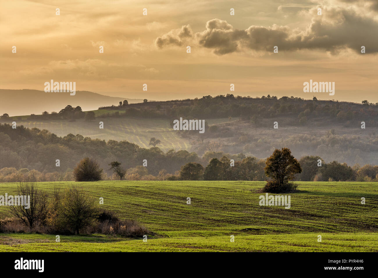 Fog sun sunset sky hills trees hi-res stock photography and images - Alamy