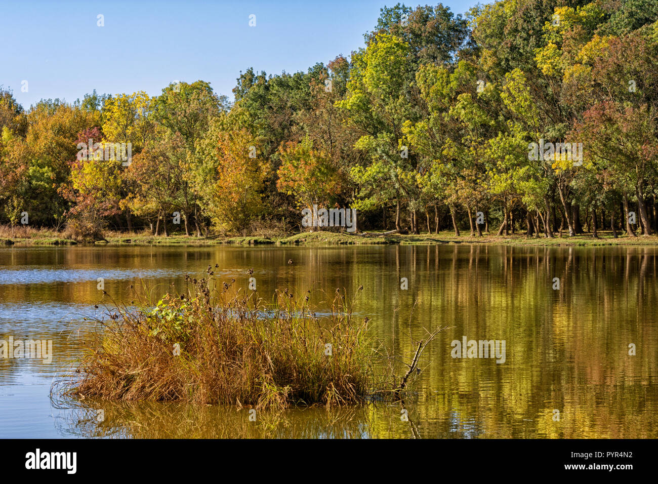 Reflections on lake water hi-res stock photography and images - Alamy