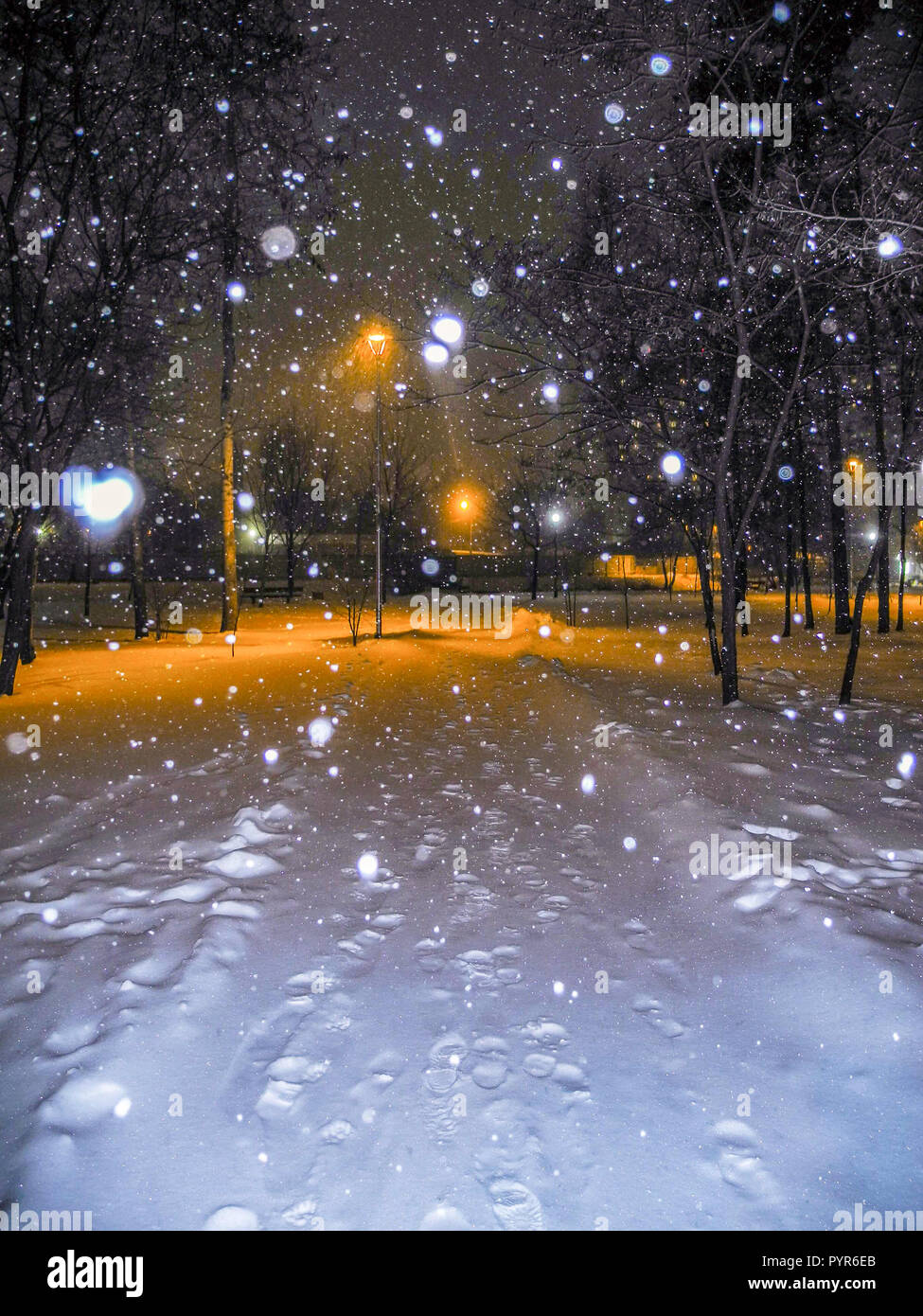 Winter park at night. Snowfall and orange light lanterns Stock Photo ...