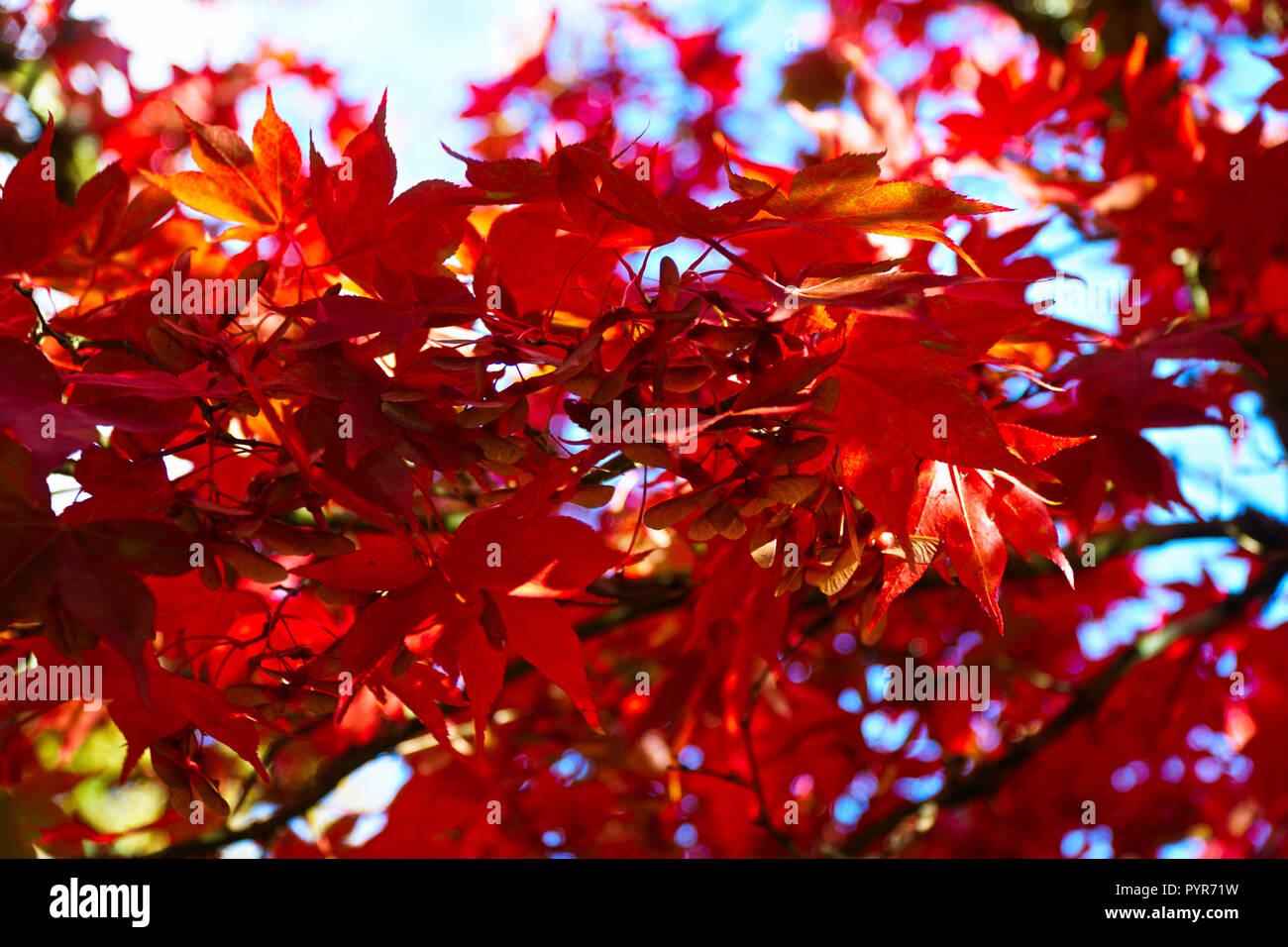 1 colors hi-res stock photography and images - Alamy