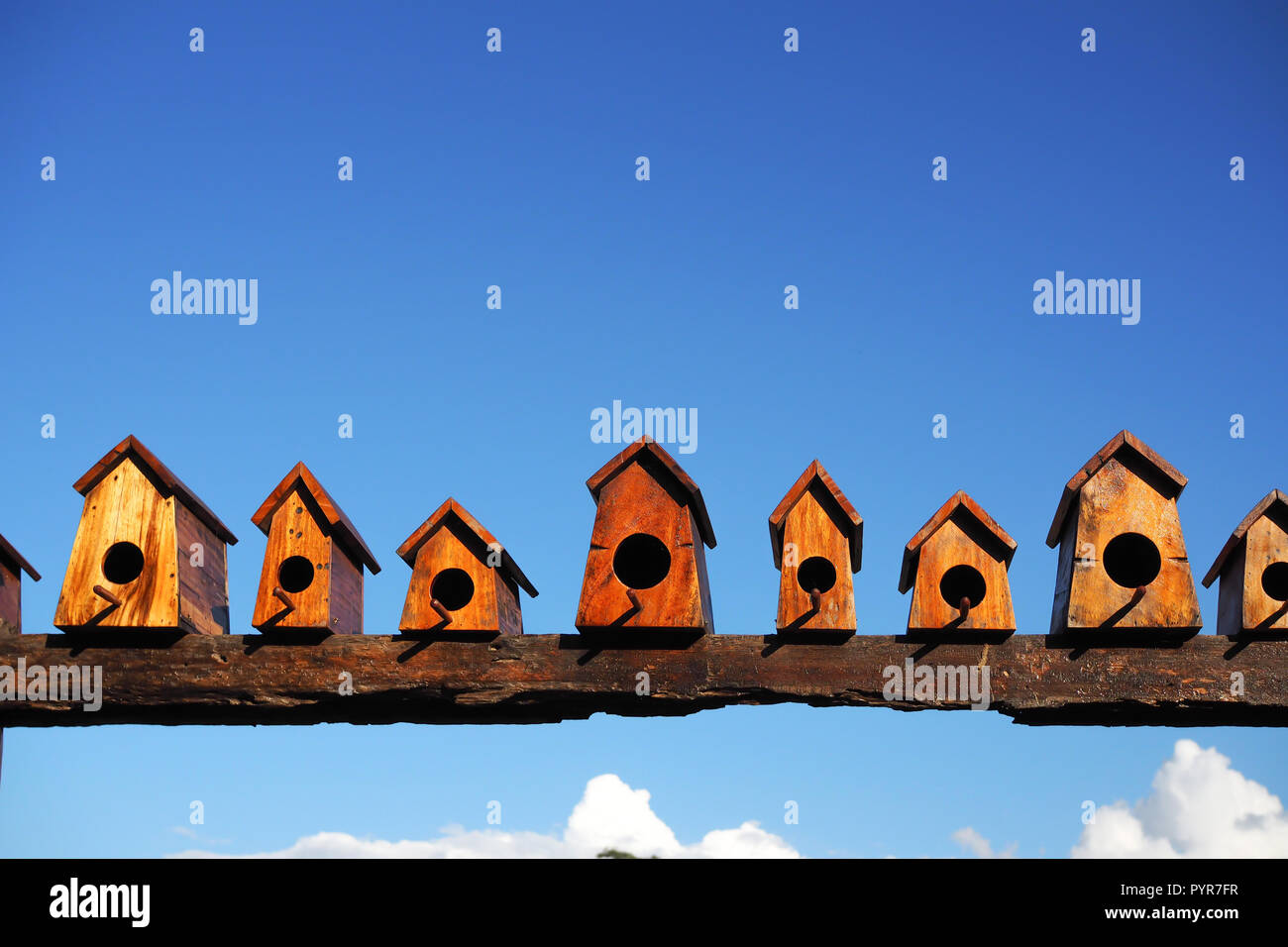 Tall nest box hi-res stock photography and images - Alamy