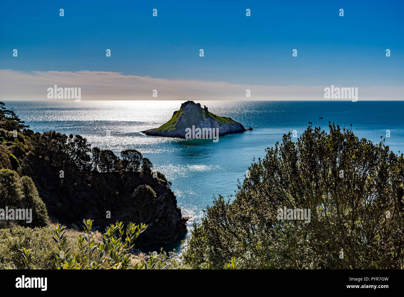 Thatcher devon hi-res stock photography and images - Alamy