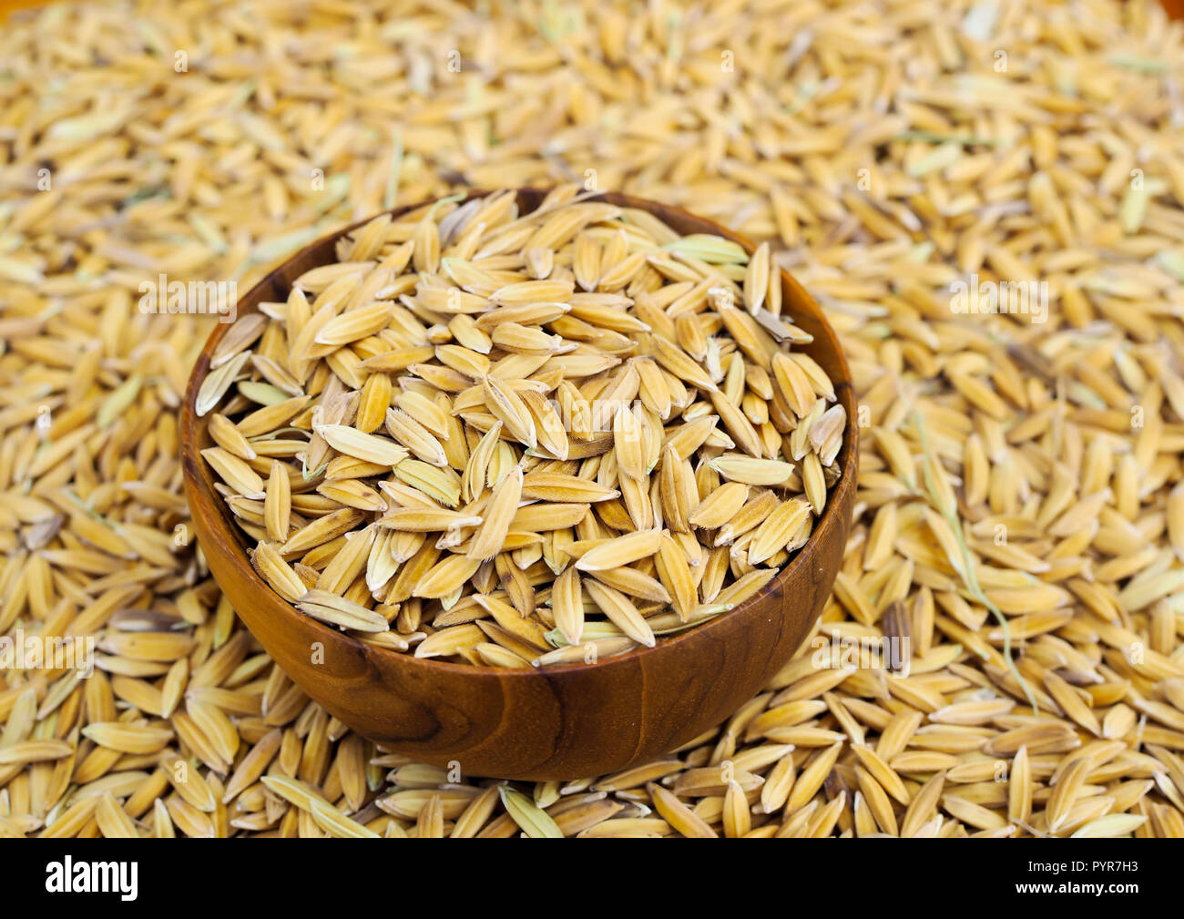 Paddy seed in wooden bowl background Stock Photo - Alamy