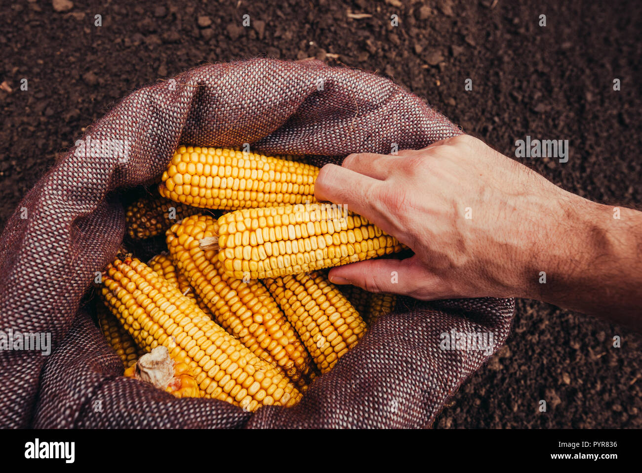 Ground control harvest hi-res stock photography and images - Alamy