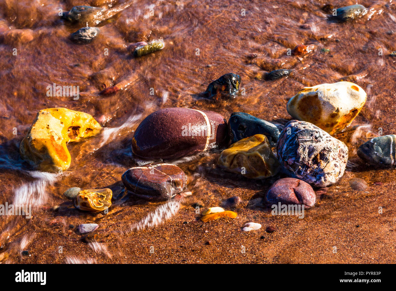 Highly coloured pebbles on a sandy beach in Devon, UK Stock Photo - Alamy