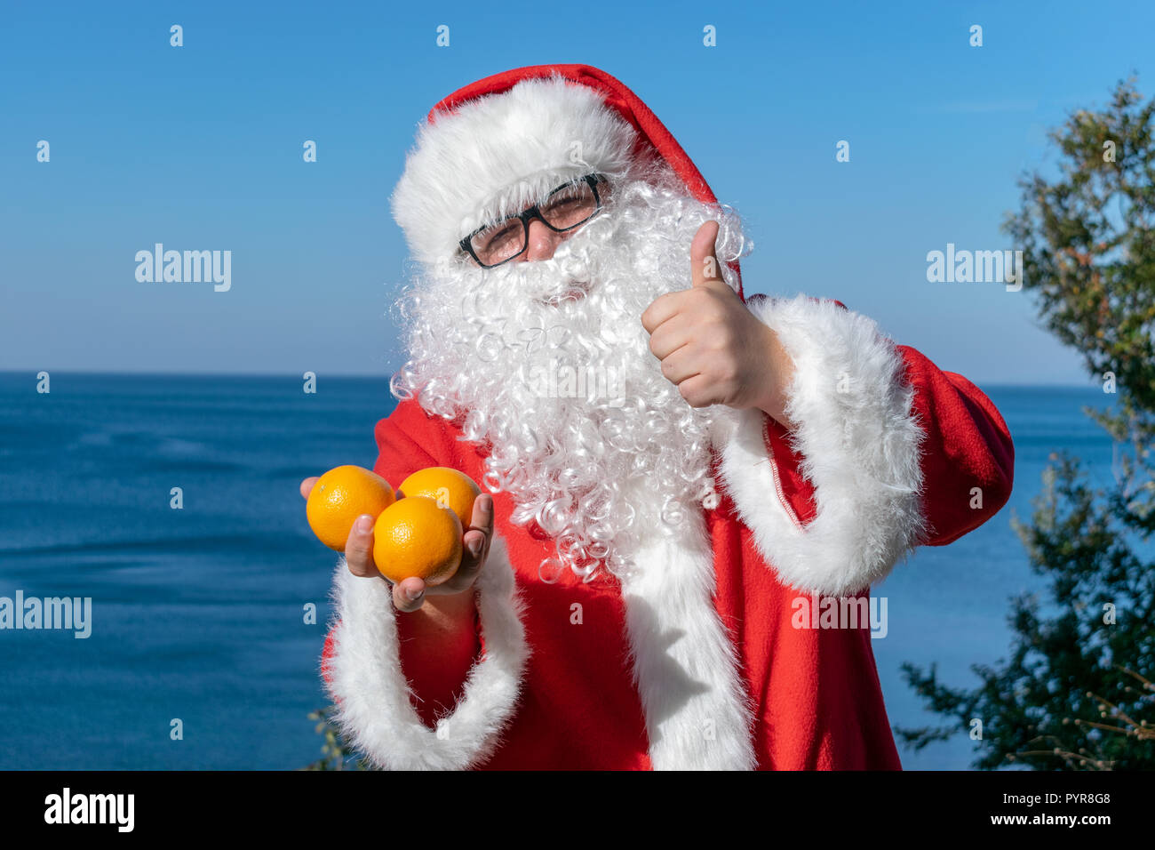 Fat man in glasses dressed as Santa holds tangerines on the ocean Stock ...