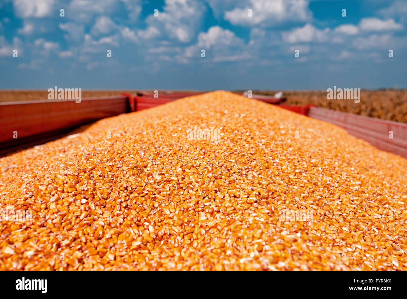 Corn harvest silo hi-res stock photography and images - Alamy