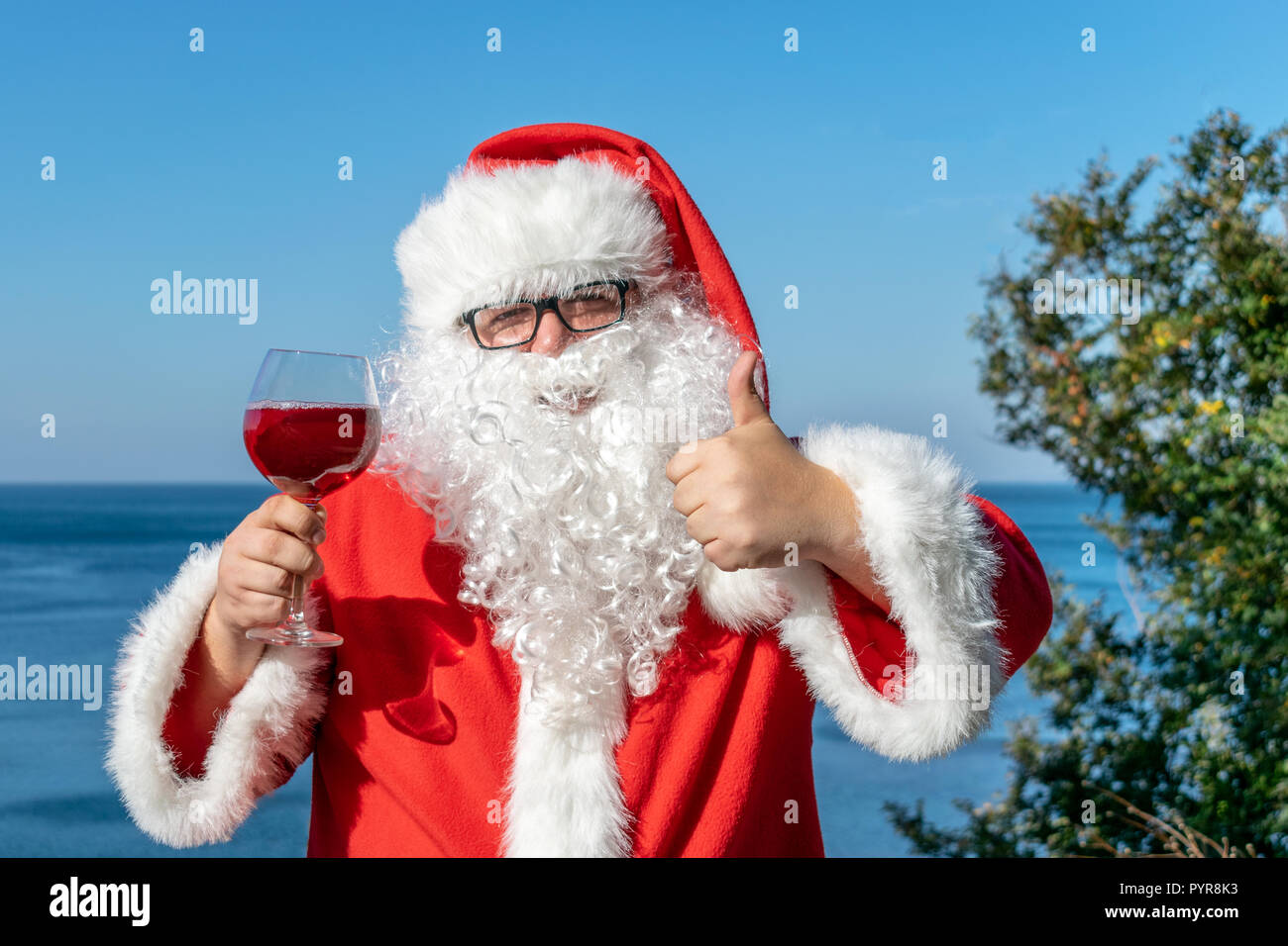 Santa Drinking Wine