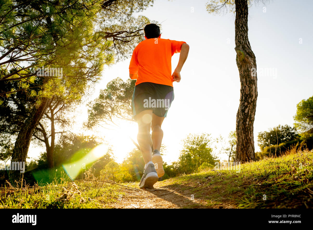 Muscular legs hi-res stock photography and images - Alamy
