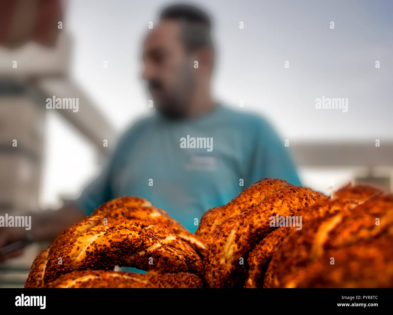 crunchy just eats very hungry food can not find something else to eat ...