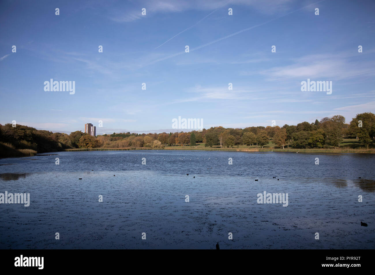 Edgbaston pool hi-res stock photography and images - Alamy