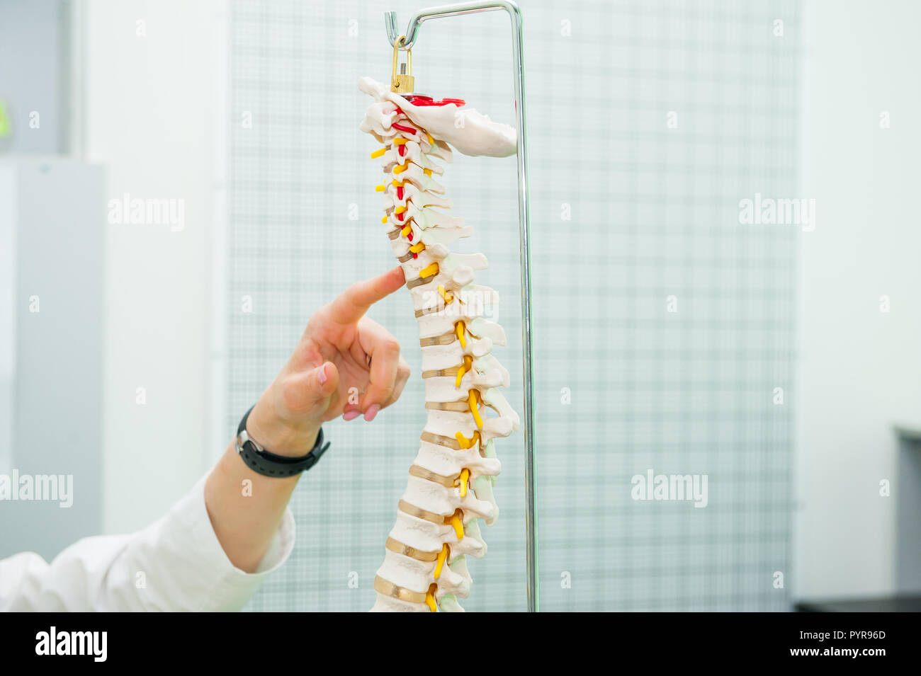 Woman body back curve hi-res stock photography and images - Alamy