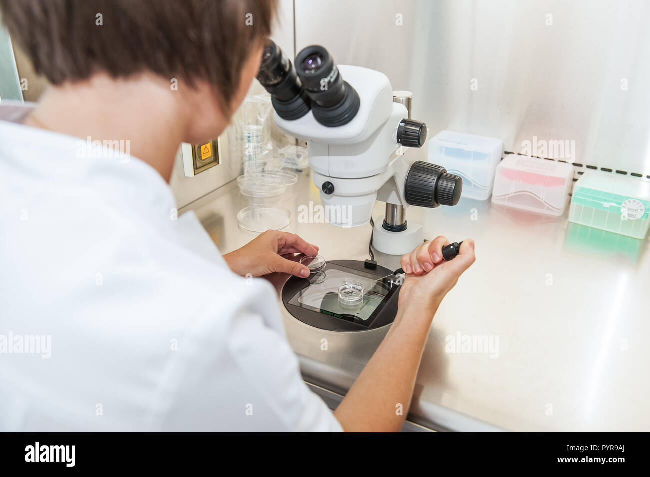 Young woman medical researcher looking through microscop slide in the ...
