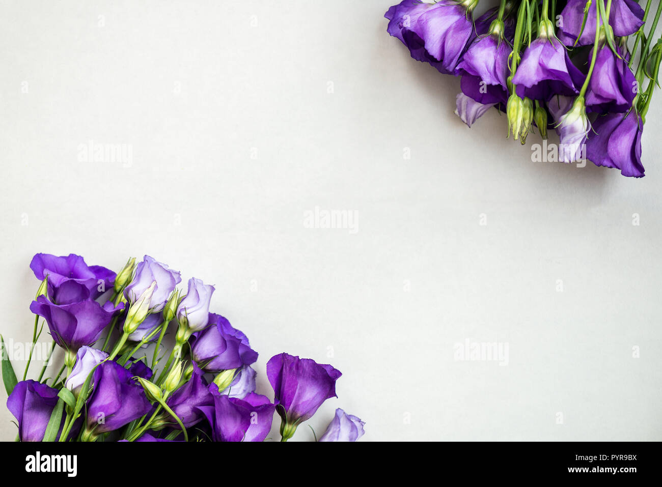 Beautiful Bouquet of Purple Eustoma flowers, Lisianthus, light ...