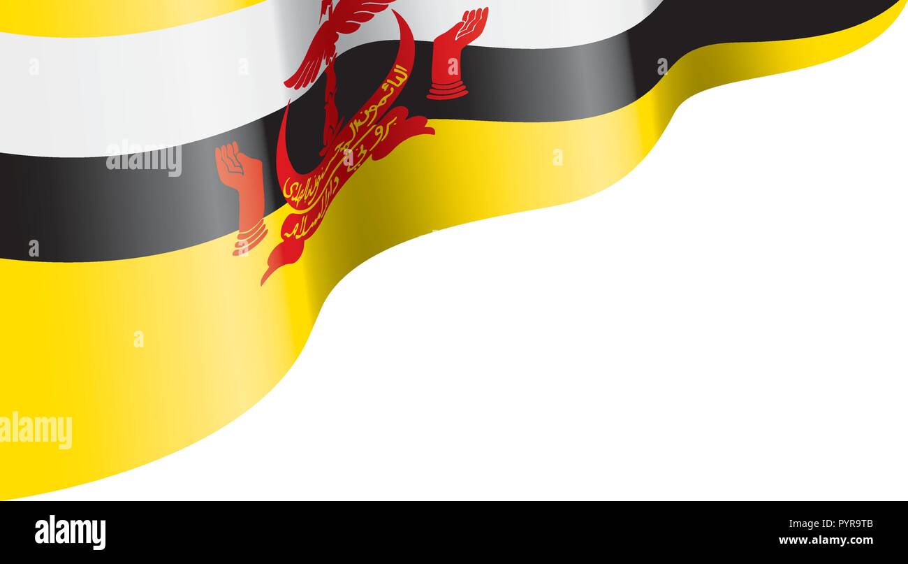 Brunei flag, vector illustration on a white background Stock Vector ...