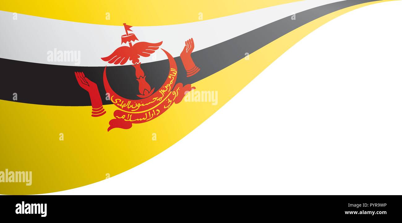 Brunei flag, vector illustration on a white background Stock Vector ...