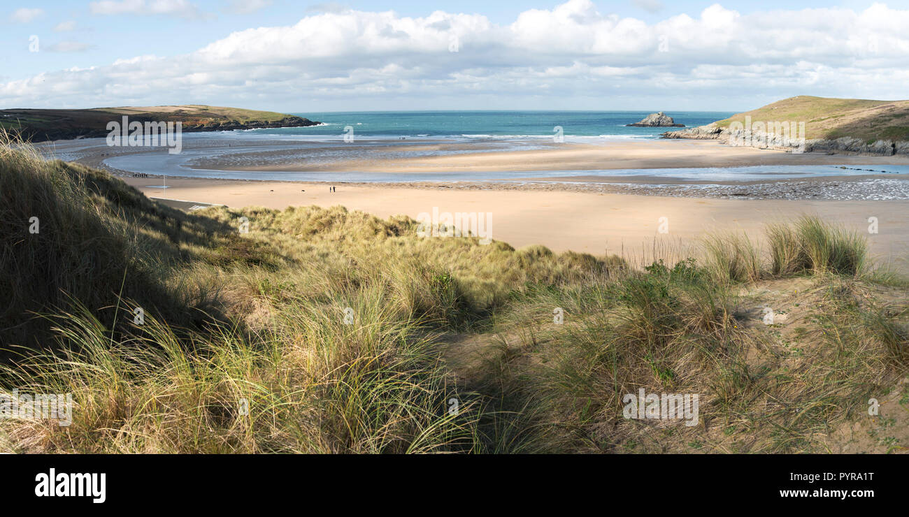 A panoramic view from the sand dune system overlooking Crantock Beach ...